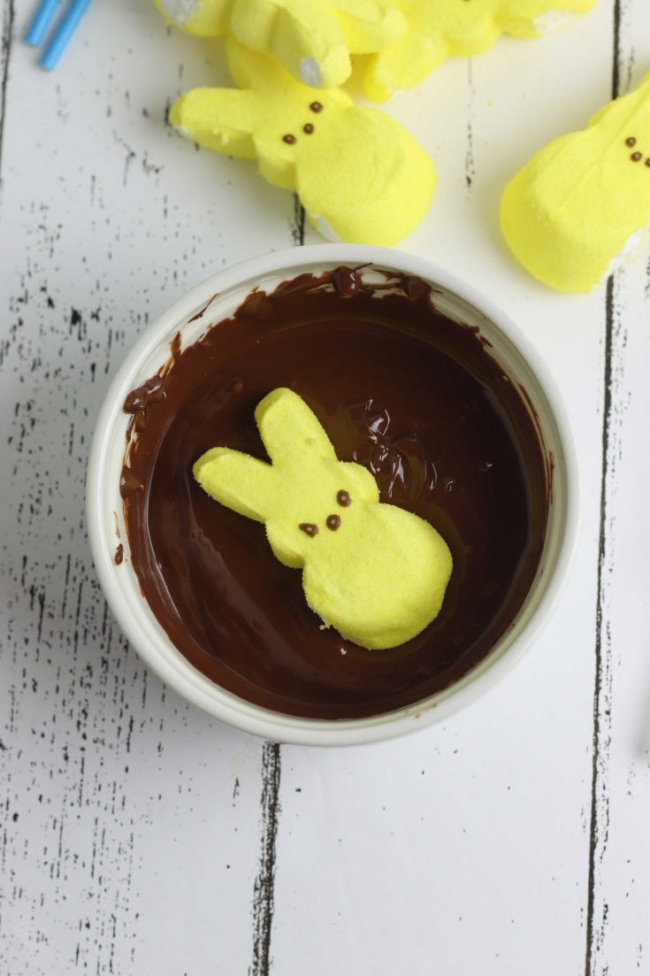 These Chocolate Covered Bunny Pops are Seriously Cute!