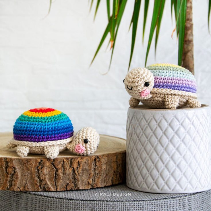 This Sweet Rainbow Tortoise is Sure to Make You Smile