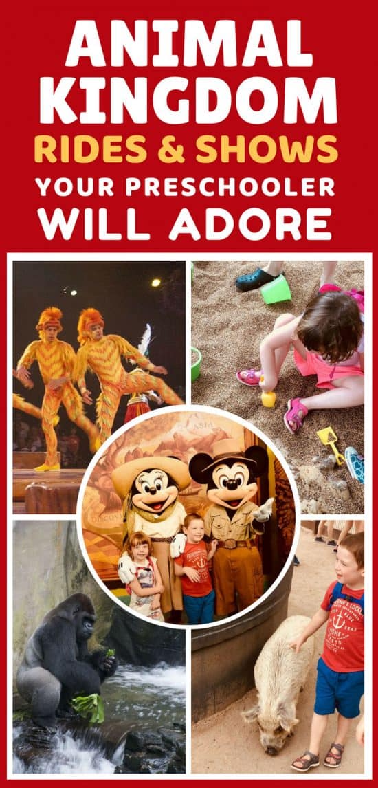 13 Things Preschoolers will Love at Disney's Animal Kingdom