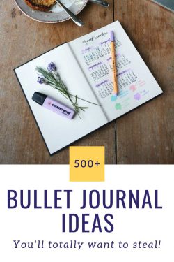 500+ Genius Bullet Journal Ideas You Need to Try ASAP