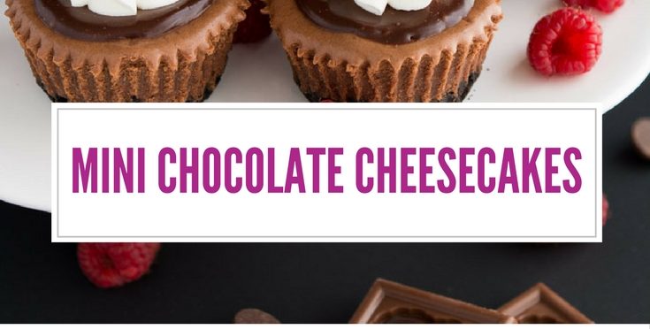 The 12 Most Amazing Mini Chocolate Cheesecakes of All Time!