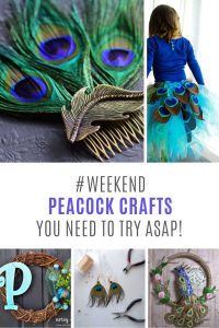 13 Colorful Peacock Crafts You Need to Make this Weekend