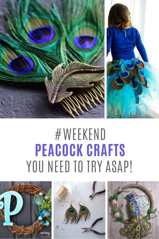 13 Colorful Peacock Crafts You Need to Make this Weekend