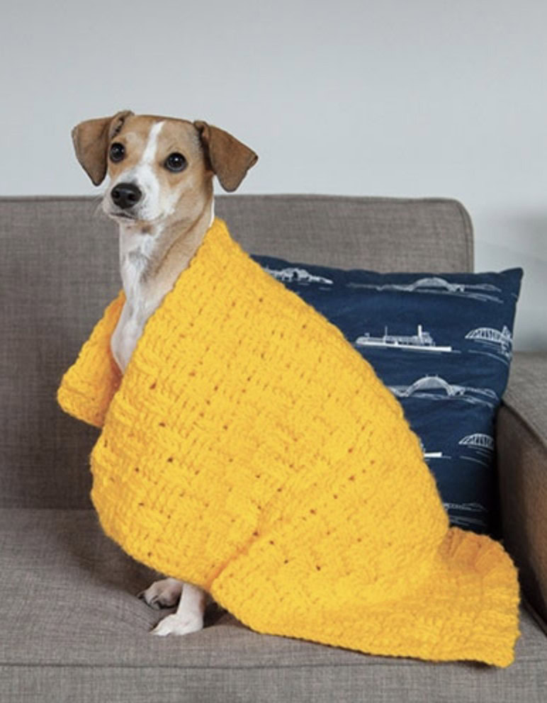 18 Free Dog Blanket Crochet Patterns