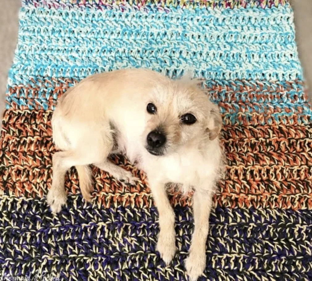 18 Free Dog Blanket Crochet Patterns