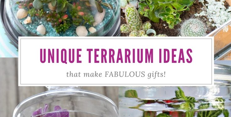 12 Unique Terrarium Ideas that Make GORGEOUS Gifts! (#3 is great for ...