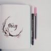 11 Gorgeous May Bullet Journal Ideas to Inspire You