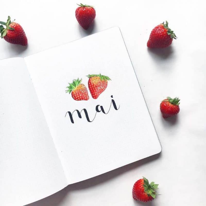 11 Gorgeous May Bullet Journal Ideas to Inspire You