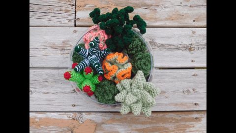Create Your Own Indoor Garden with these Free Crochet Plant Patterns